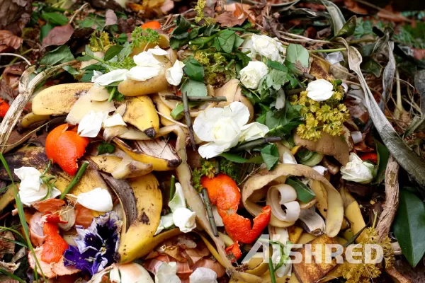 Shredder Machine for Biodegradable Waste | GEP ECOTECH